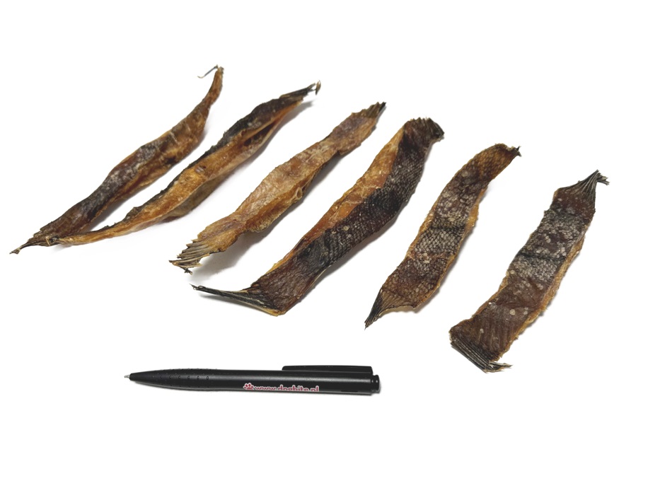 Platvis Mootjes - Dogbite